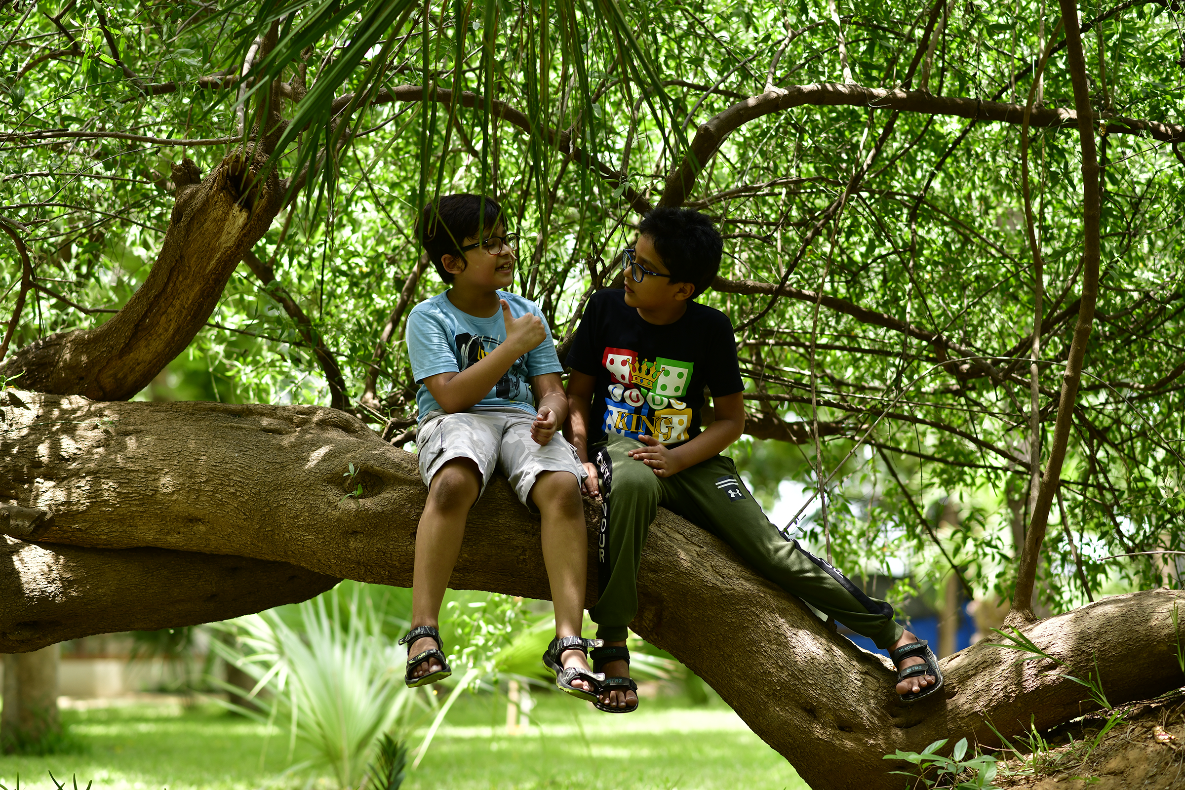 Trees and Community Engagement | Why Urban Green Spaces Matter – Pilkhan