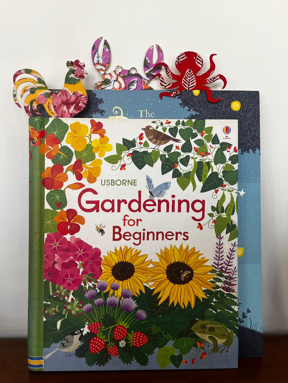 Return Gifts for Kids | Eco-Friendly Nature Kits – Pilkhan