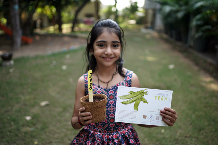 Return Gifts for Kids | Eco-Friendly Nature Kits – Pilkhan